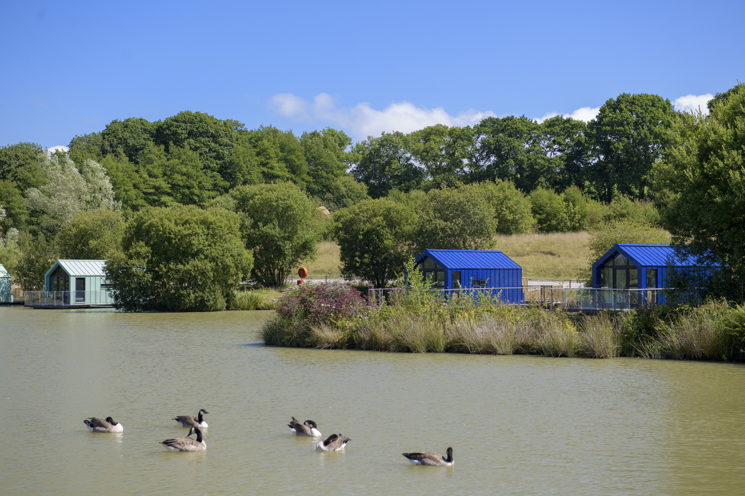 Floating Lodge | Pet Friendly | Floating Deck | Clawford Lake